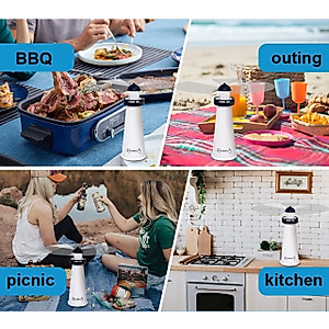 Brenrite, Fly Fans for Tables, 2 Pack Lighthouse Fly Fan, Fly Repellent, Keep Bugs Off Food, Holographic Fan, Fly Away, Table top Bug Repellent/deterant