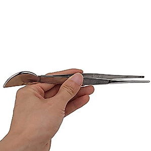 Mumusuki Bonsai Tweezers, Long Handle Stainless Steel Straight and Curved Tweezers Nippers Tongs Tweezers for Potted Loosening Soil Planing Grass (Straight)