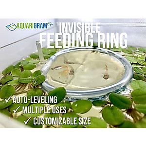 Invisible Feeding Ring (Customizable and Auto-Leveling) Food Portal for Floating Plant Aquariums and Fish Tanks (Standard 2.5" Feeding Ring)