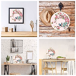 VOLSION Embroidery Starter Kit – Cross Stitch Kit with Embroidery Cloth, Plastic Hoop, Needles and Threads, Instructions – Complete Embroidery Kit for Adults – Suitable for Beginners and Hobbyists