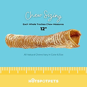 hotspot pets Premium 12'' Beef Trachea for Dogs Large - All Natural Long Lasting Dog Chews Rich in Glucosamine & Chondroitin 100% Beef Chews Single Ingredient Grass Fed Dog Treats