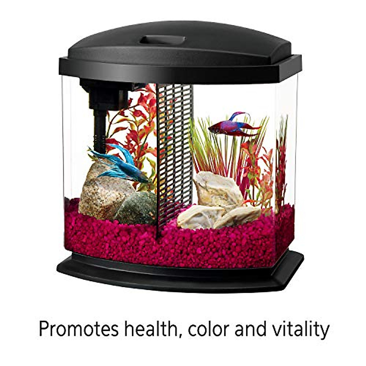 Aqueon Water Renewals Betta 4 Fluid Ounces