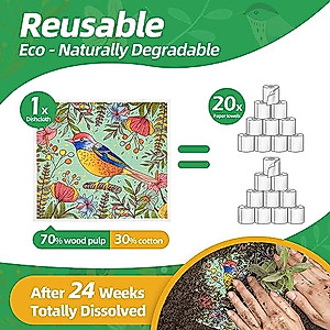 DecorWoo 6 Pack Swedish Dishcloths for Kitchen, Absorbent & Quick Drying Sponge Cleaning Cloths Set, Reusable Decorative Tea Towel, Biodegradable No Fading No Odor Bar Hand Towel (2 Clips