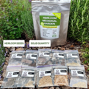 10 Medicinal Herb Seeds - Heirloom, Non GMO, USA Made - 2050 Most Needed Herbal and Medical Tea Seeds Pack for Planting Indoors and Outdoors - Lavender, Mountain Mint, Chamomile & More