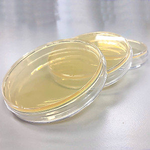 LB Agar Plates - Evviva Sciences - Prepoured Luria-Bertani Agar (LB) Petri Dishes - General Purpose Media - Top Science Kit for Science Fair Projects!