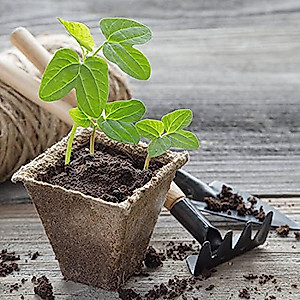 EHWINE Peat Pots, 100 Pack 3.15 Inch Square Seed Starter Tray Seedling Pots Organic Peat Pots for Seedlings Seed Starter Pots Kit Seedling Trays, Bonus 100 Pcs Plant Labels