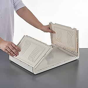 MFCHY Shoe Box Drawer Dormitory Shoe Organizer Shoe Cabinet Folding Space Saving Shoe Cabinet (Color : D, Size : 27 * 20 * 37.5cm)