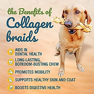 Pawstruck Natural 5-7” Beef Collagen Braids for Dogs - Healthy Long Lasting Alternative to Traditional Rawhide & Bully Sticks - Low Fat Dental Treats w/Chondroitin & Glucosamine - 5 Count