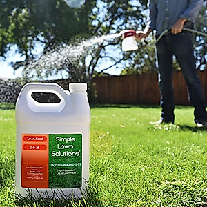 Simple Lawn Solutions - High Potassium Lawn Food Liquid Fertilizer 0-0-25 - Concentrated Spray - Turf Grass Vigor and Plant Hardiness - Summer and Fall - Any Grass Type (1 Gallon)