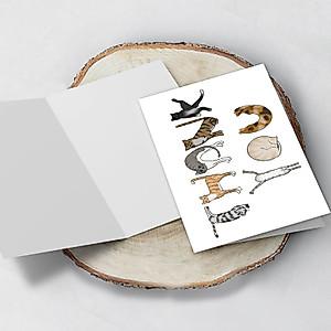 Cat Thank You Cards (6 Packs), Alphabet Thank You Cards for Cat Lovers