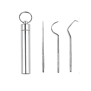 Angzhili 3 Pcs/Set Stainless Steel Toothpicks Kit,Reusable Tooth Picks Set,Portable Pocket Toothpick,Travel Toothpicks with Holder for Travel, Outdoor