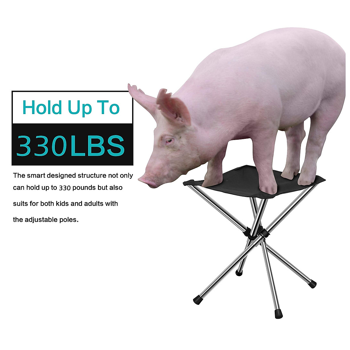 chiitek Foldable Camping Stool Chair Super Compact Ultralight Weight Tiny Size to Carry Out to Hiking, Beach, Camping, Fishing Unfolded Size 12.6 * 12.6 * 13.8inches