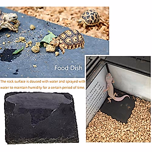 Reptile Basking Platform, Tortoise Feeding Dish, Rock Reptile Food Bowl with Feeding Tweezers Landscape Habitat Decor for Turtle Lizard Bearded Dragon Crested Gecko Snake (4 PCS)