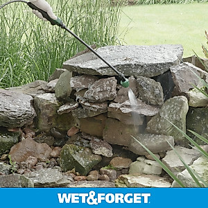 Wet & Forget Moss, Mold, Mildew, & Algae Stain Remover Multi-Surface Outdoor Cleaner Concentrate, Original, 64 Fluid Ounces