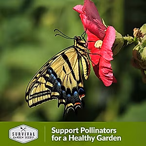 Survival Garden Seeds - Single Mixed Hollyhock Seed for Planting - 2 Packs with Instructions to Plant and Grow Colorful Spikes of Flowers in Your Home Vegetable Garden - Non-GMO Heirloom Variety