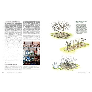 The Fruit Gardener's Bible: A Complete Guide to Growing Fruits and Nuts in the Home Garden