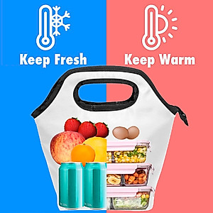 Sletend Palm Leaves Flower Floral Insulated Lunch Bag Portable Zipper Lunch Bag for Kids Adult Teen Men Women,Reusable Lunch Boxes Lunchboxes Meal Prep Handbag for Work School Travel Picnic