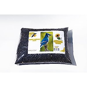 Black Oil Sunflower Seeds for Birds (10 Pound), Birds Seed for Outside Wild Birds, Birds Love Black Oil Sunflower Seeds for Their high-Fat Content, Nutrition Filled Bird Seed for Outside feeders