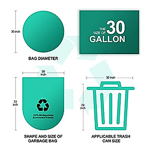Eyliden 100% Compostable Trash Bags - 100 Count 30 Gallon(113L) Tall Kitchen Garbage Bags, Fallen Leaf Bag, Medium Wastebasket Bags for Yard Home Bedroom Office Indoor Outdoor Garbage Can