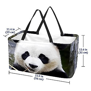 KQNZT Reusable Grocery Bags, Heavy Duty Reusable Shopping Bags, Large Tote Bags with Long Handles and Reinforced Bottom, Animal Panda