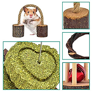 ERKOON New 12 Pack Hamster Chew Toys Gerbil Rat Guinea Pig Chinchilla Chew Toys Accessories, Natural Wooden Dumbbells Exercise Bell Roller Teeth Care Molar Toy for Rabbits Bird Rabbits Hamster Gerbil
