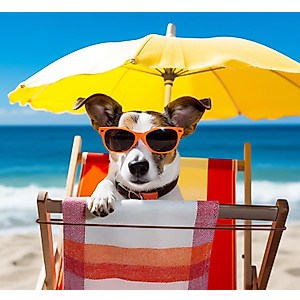 ONLYKXY 5pcs Trash Can Elastic Rope Multifunction Rubber Band to Hold Bag in Place Cabinet Loop Strap Box Holder Homewares for Garbage Liner Home Office Kitchen Indoor Outdoor Picnic Party (Brown)