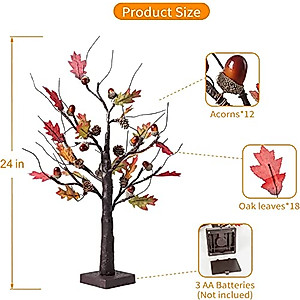 Monsense 24 Inch Artificial Fall Oak Maple Tree, Lighted Fall Decorations for Home, Fall Centerpieces for Tables, Perfect for Thanksgiving, Autumn, Wedding and Halloween Decor