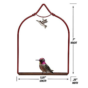 POP'S Birding, The Original Charm Hummingbird Swing for Outdoors - Perfect Bird Perch for Small Birds - Sturdy Steel Metal Swing Set with Hook Included