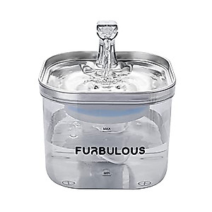 FURBULOUS pet Fountain 68oz/2L, Automatic cat Water Fountain, 3-Speed Adjustable Silent Water Pump, 304 Stainless Steel Drinking Tray, Translucent Water Tank. Dog Water Dispenser for Multiple Pets