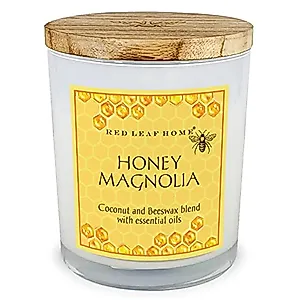 Red Leaf Home | Honey Magnolia Candle, Large | Honeycomb Collection, Aromatherapy, Gift | 15.5oz Jar
