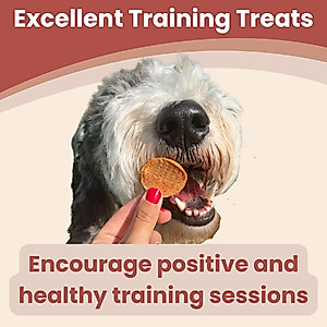 Farm To Pet Dog Training Treats – Chicken & Turkey Chip Protein Pack, 100% All Natural, Single Ingredient Training Treats, Made in USA, for Small, Medium, and Large Dogs