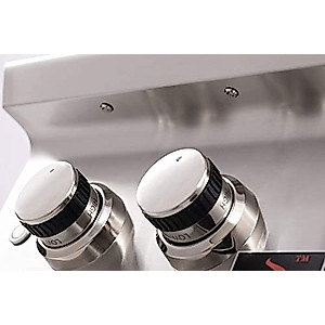 Whistler BBQ Grill Built In Double Side Burner for Outdoor Kitchen Island