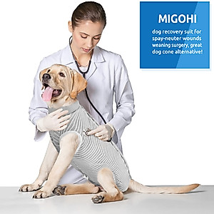 MIGOHI Dog Recovery Suit, Anti Licking Biting Dog Surgical Onesie After Surgery, Professional Dog Bodysuit for Male Female Dogs, Spay & Neuter Dog Shirts for Abdominal Wounds Skin Disease, Grey L