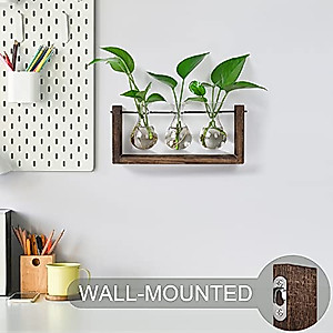 YIBOT Plants Propagation Stations Plant Terrarium with Wooden Stand Wall Hanging Glass Planter Desktop Plant Propagation Vase for Indoor Office Home Garden Decor Birthday Gifts for Women