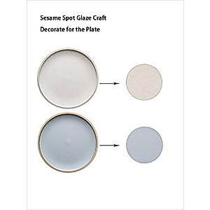 MDZF SWEET HOME 10.4-Inch Porcelain Dinner Plates Set, Pasta Serving Plates Matte Glaze Dessert Dishes - Set of 4