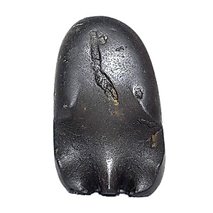 Rudrakshguru Hayagriva Shaligram - Gandaki River Nepal