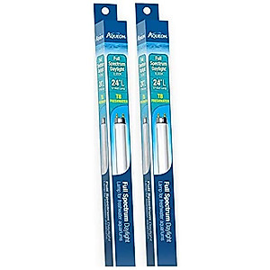 Aqueon 2 Pack of Full-Spectrum Daylight T8 Fluorescent Lamp,Glass 17-Watt, 24-Inch