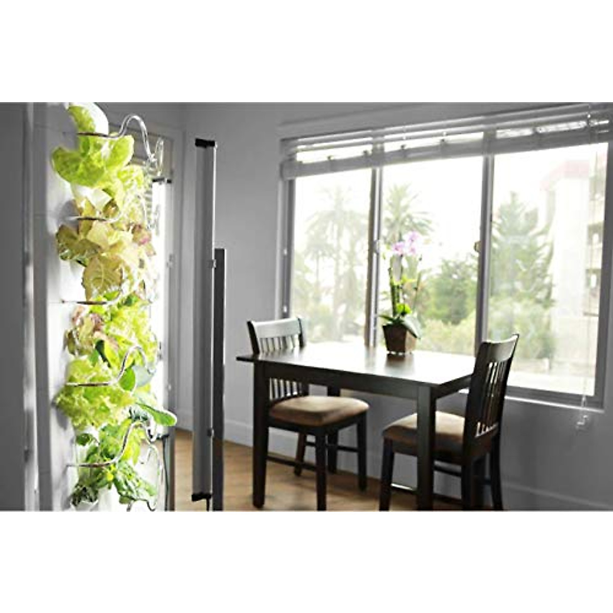 iHarvest Indoor Garden | Grow 30 Healthy Plants 30-50% Faster & Bigger in a Beautiful, Space Conscious Vertical Indoor Garden. No Chemicals or GMO's Needed.