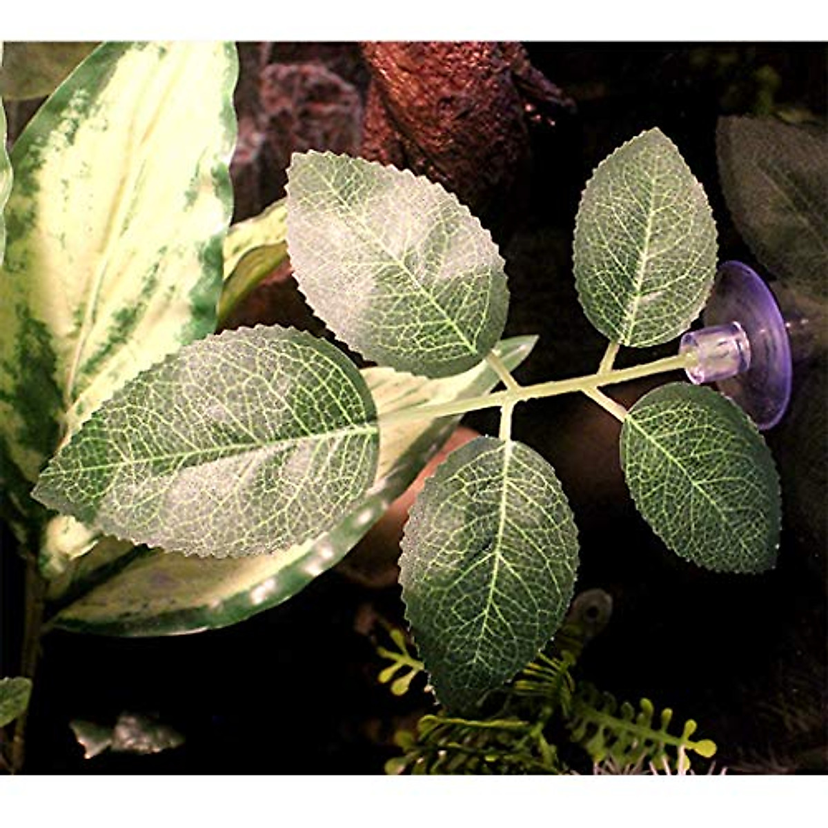 Mllepjdh Betta Fish Hammock Plastics Betta Leaf Pad Aquarium Plant Leaves Accessories for Playing Fish Tanks Hideout Decoration Pet Rainbow Ball Foam Pets Dog Training Training Ball Dog Treat