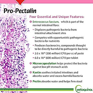 Vetoquinol Pro-Pectalin Chewable Tablets for Dogs & Cats – 250ct, Beef Liver Flavor – Helps Reduce Occasional Loose Stool & Diarrhea, Balance Gut pH, Support Normal Digestion & Intestinal Flora