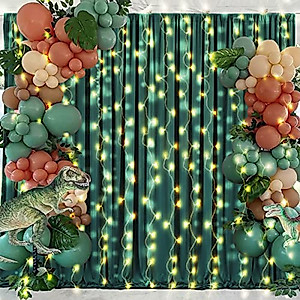 10ft x 10ft Hunter Green Backdrop Curtain for Parties Dark Green Wrinkle Free Backdrop Drapes Panels for Baby Shower Birthday Party Photo Photography Polyester Fabric Background Decoration
