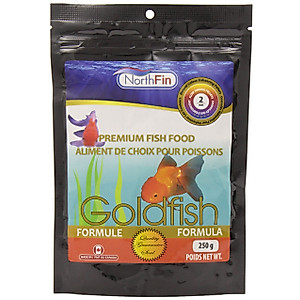 Northfin Goldfish