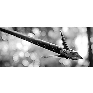 Ramcat Pivoting Broadheads (Hydroshock - 100 Grain)