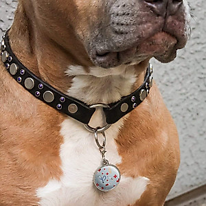 GRAPHICS & MORE Nurse Doctor Pattern Healthcare Stethoscope Thermometer Chrome Plated Metal Pet Dog Cat ID Tag