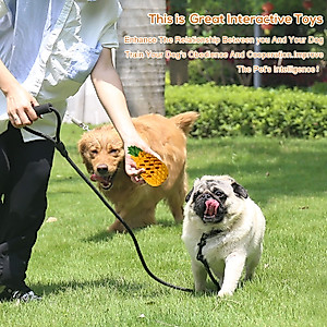 M.C.works Puppy Chew Toys, Dog Chew Toys for Average Chewer, Tough Dog Dental Chews Toy, Indestructible Dog Toys for Small Dogs, Food Grade Puppy Pet Toys