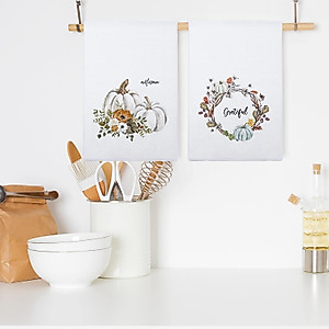 WILLBOND 4 Pieces Farmhouse Fall Kitchen Towels Autumn Kitchen Dish Towels Farmhouse Bath Towels Hand Towels Tea Towels for Fall Kitchen Thanksgiving Gifts, 18 x 28 Inch (Pumpkin)