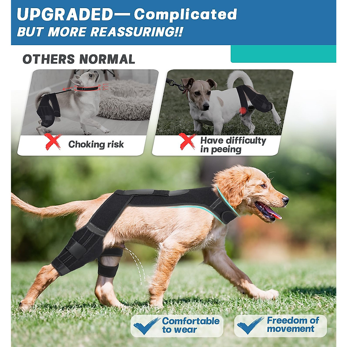 Petdream Dog Knee Brace with Vest, Support Dog Acl Brace for Hind Leg Torn, Adjustable Dog Rear Leg Braces for Cruciate Ligament Injury, Joint Pain Relief and Arthritis (Double, 3)