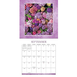 Anne Geddes 2021 Wall Calendar