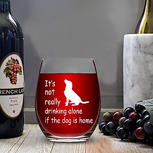 Stemless Wine Glass It's not really drinking alone if the dog is home Funny Wine Cup Best Gift for Dog Lover 15 oz