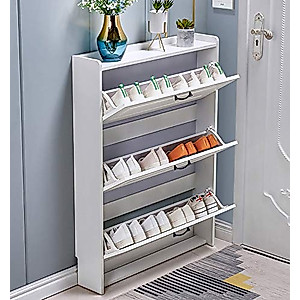 N/A Tipping Shoe Cabinet Shoe Storage Shelf Simple Narrow -Thin 17cm Space-Saving Home Hall Entrance Cabinet (Size : Width 60cm)